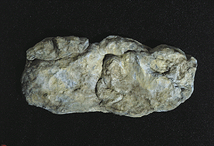 Woodland Scenics 1242 Rock Molds -- Washed Rock A Scale – YankeeDabbler